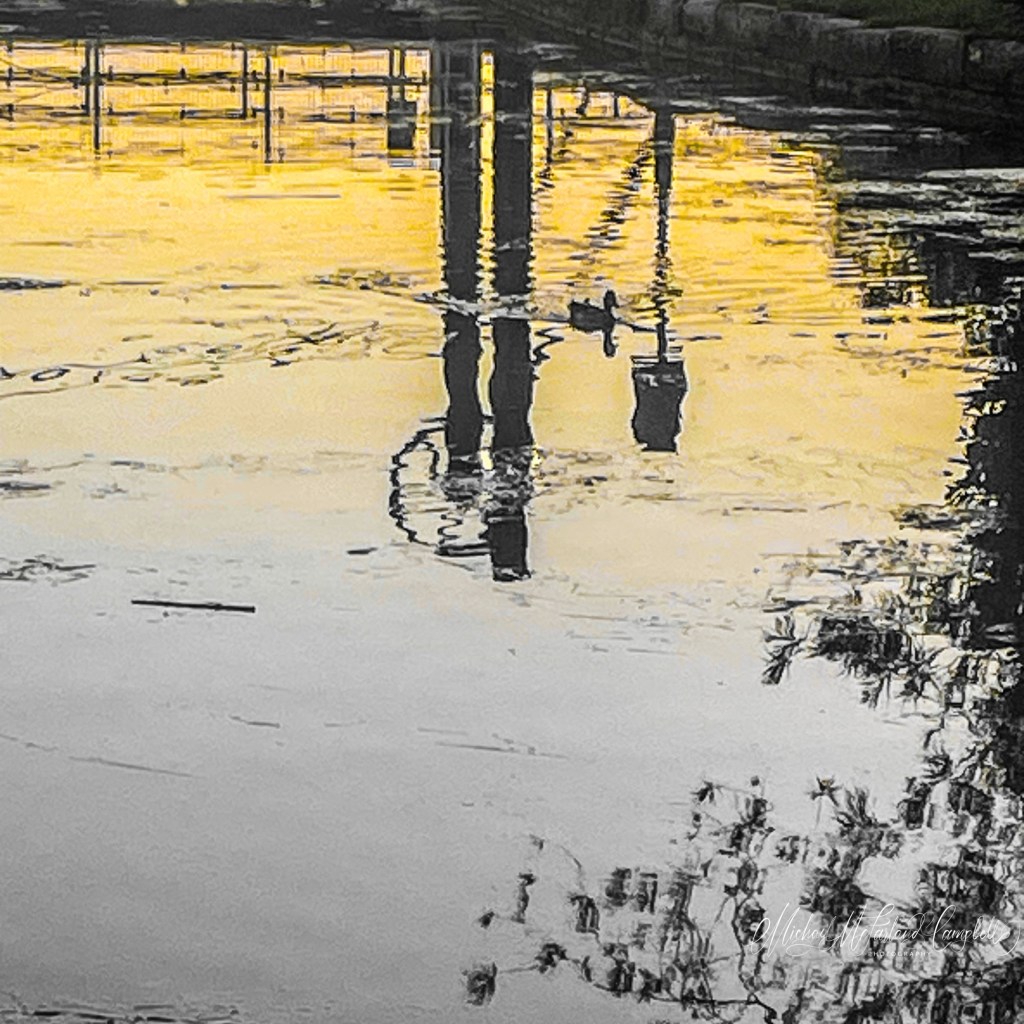 Crossing the Light – Pilgrim Light